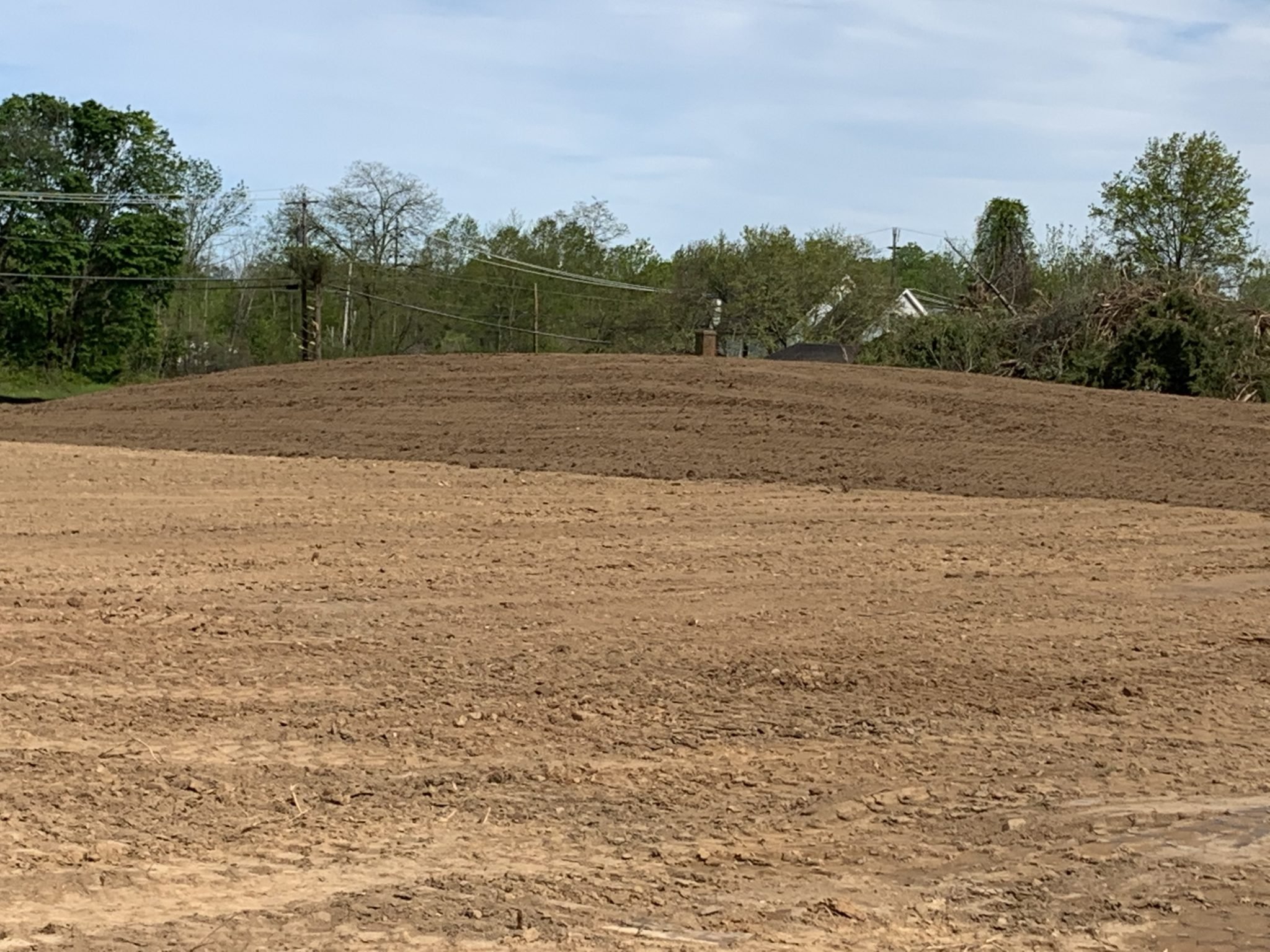 Diamond Nation’s newest field rising from the trees – Diamond Nation