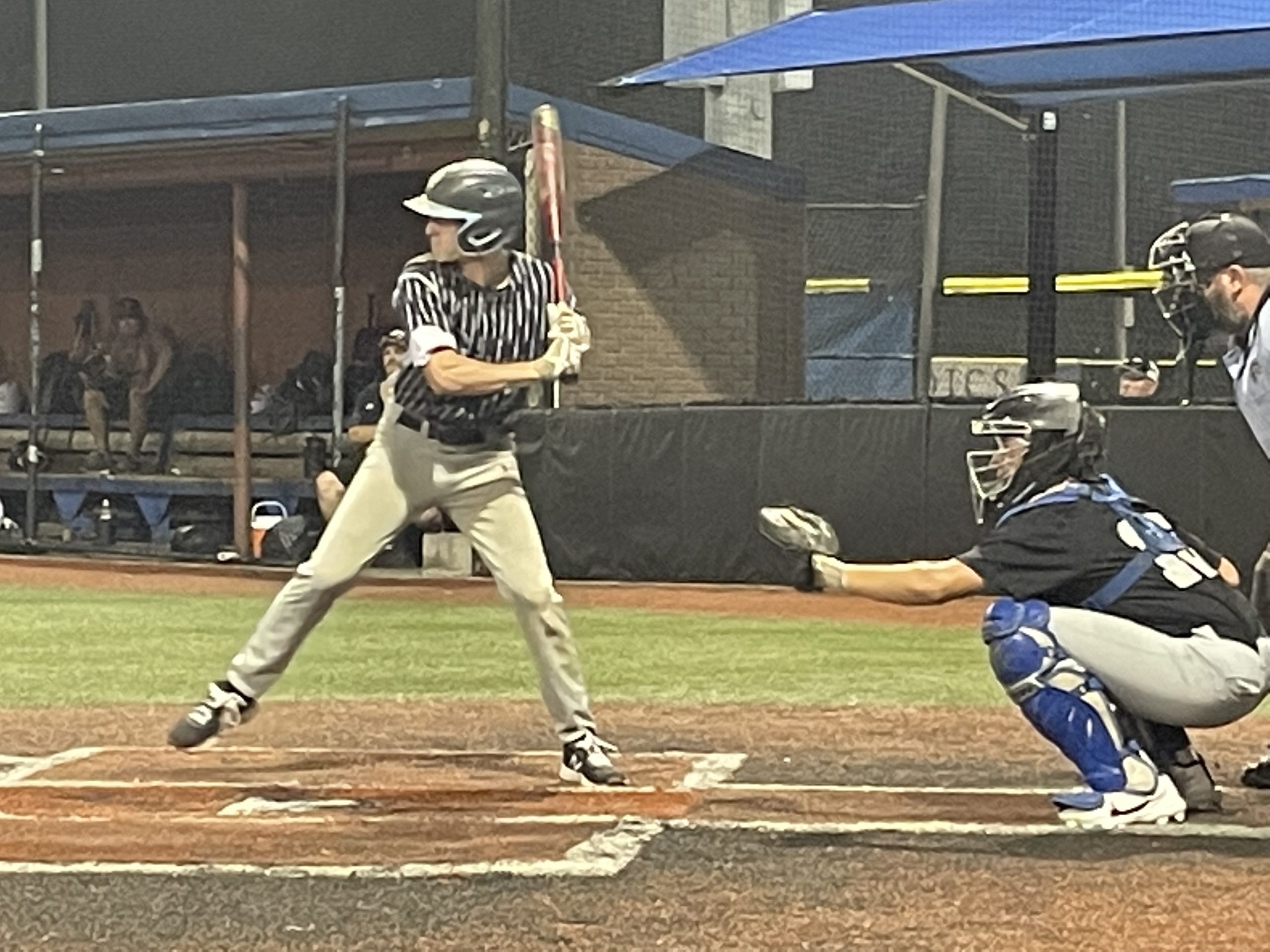 Hinchliffe arm and bat provide impetus for Biopitch Baseball – Diamond ...