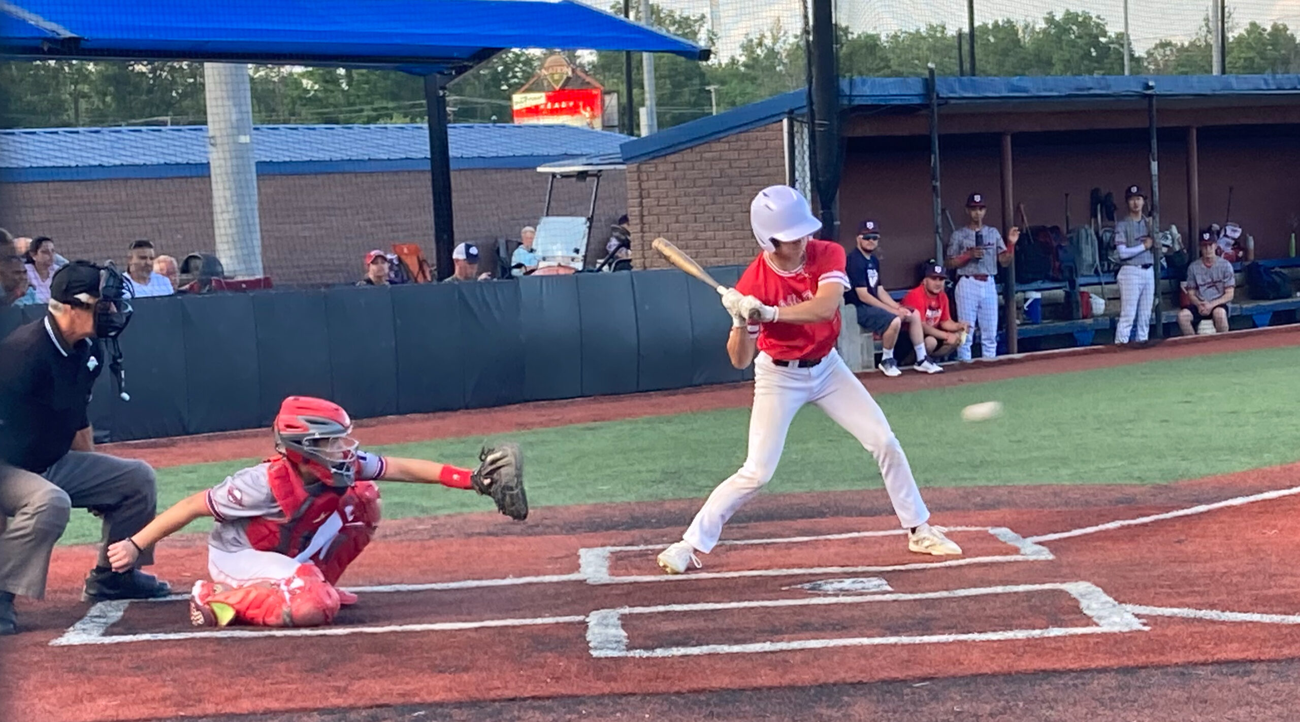 All-Out’s tank still full despite grueling Georgia trip – Diamond Nation