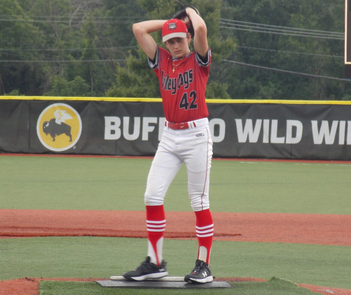 Valley Dogs' Shea the hero in wild win over .9ers – Diamond Nation
